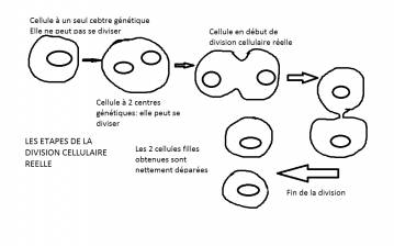Widi TCHALA - La Cellule Créatrice et Source de Vie - Chapitre 7